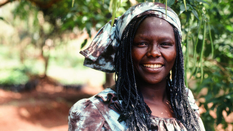 Africaines Queens, ép. 4: Kenya: Wangari Maathaï, première Africaine prix Nobel de la paix - La ...